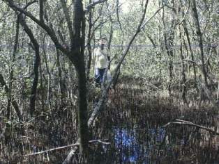 Cayos de las Cinco Leguas - EcuRed