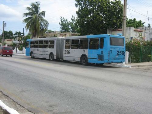 Guagua - EcuRed