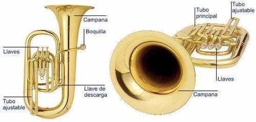 Tuba (instrumento musical) - EcuRed