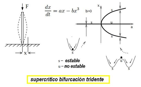 Bifurcación tridente - EcuRed