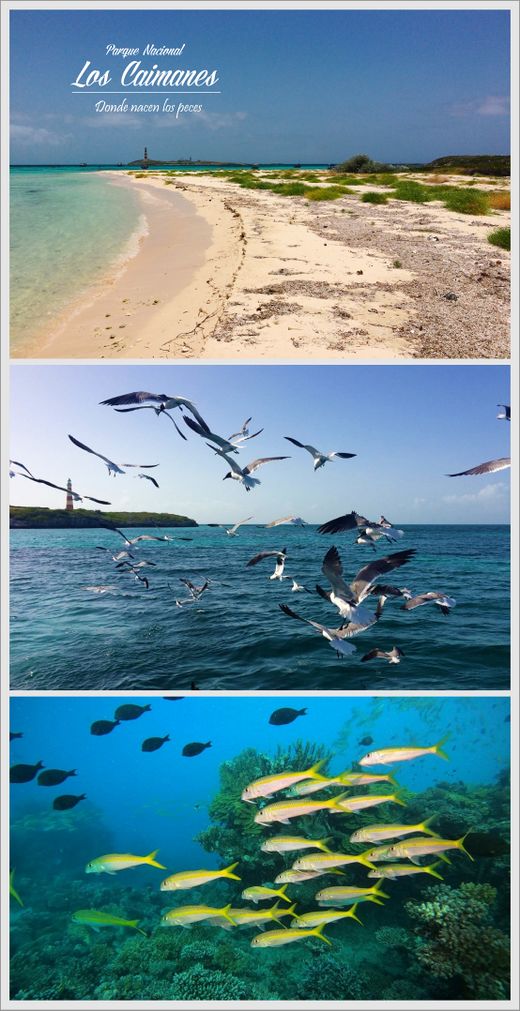 Parque Nacional Los Caimanes - EcuRed
