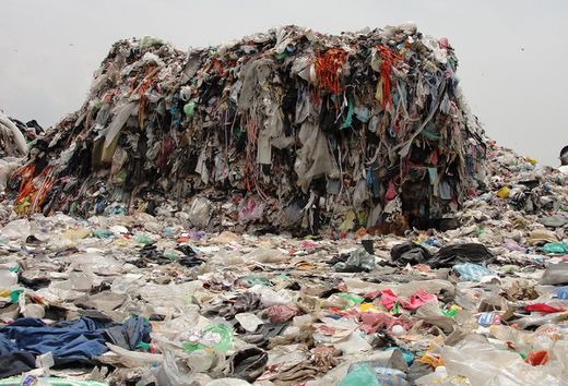 Muladar - EcuRed