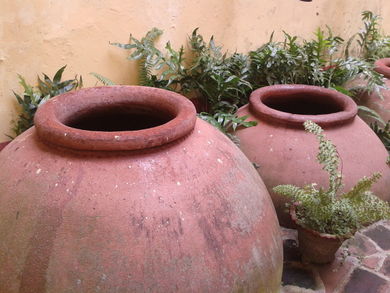 Piel de barro - EcuRed