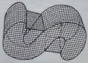 Nasas de Pesca - EcuRed