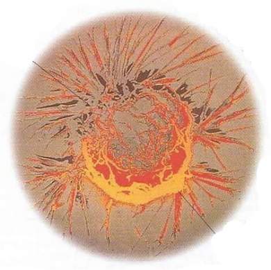 Carcinosin - EcuRed