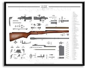 M14 - EcuRed