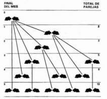 Números de Fibonacci - EcuRed