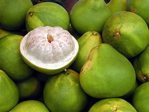 Citrus maxima - EcuRed