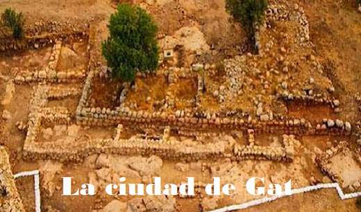 Gat - EcuRed