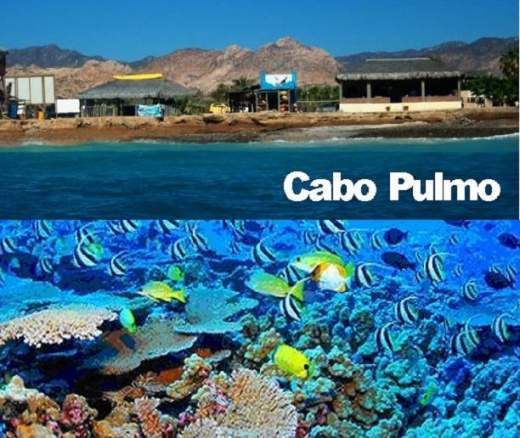 Parque Marino Nacional Cabo Pulmo - EcuRed