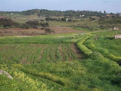 Finca - EcuRed