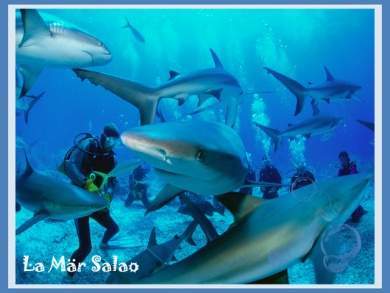 Condrictios - EcuRed