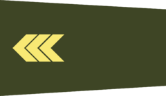 Grado (militar) - EcuRed