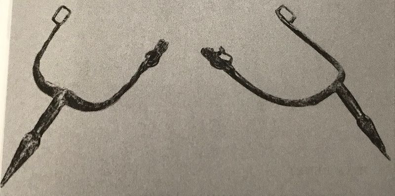 Archivo:Acicate.jpg - EcuRed