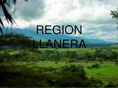 Llanera - EcuRed