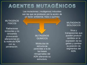 Mutagénico - EcuRed