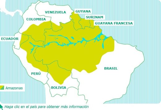 Cuenca del río Amazonas - EcuRed