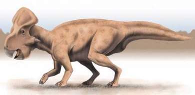 Protoceratops - EcuRed