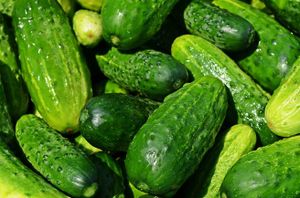 Cucurbitaceae - EcuRed