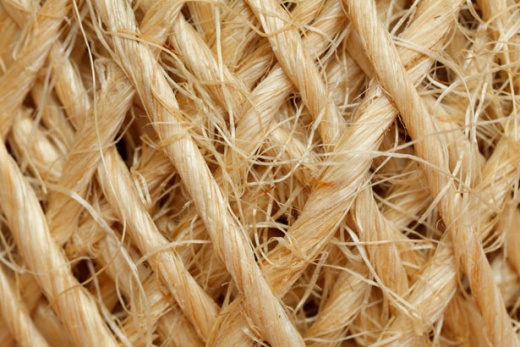 Fibra - EcuRed