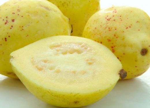 Guayaba agria - EcuRed