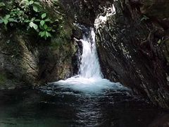 Parque Nacional Parima-Tapirapecó - EcuRed