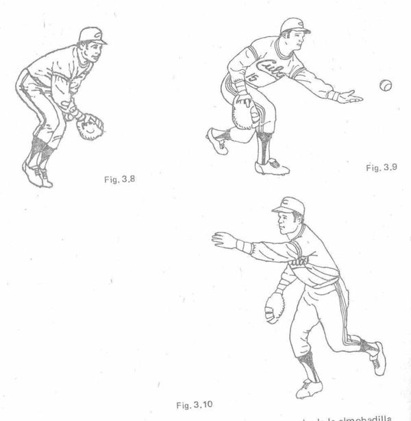 Primera base - EcuRed