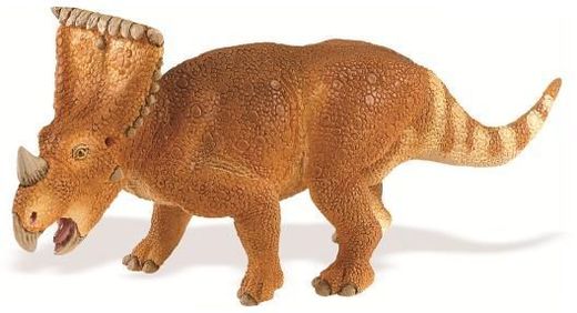 Vagaceratops - EcuRed