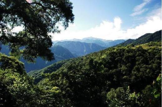 Yungas - EcuRed