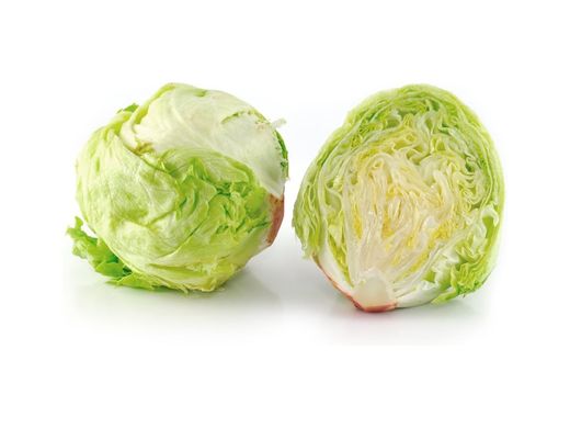 Lechuga Icerberg - EcuRed