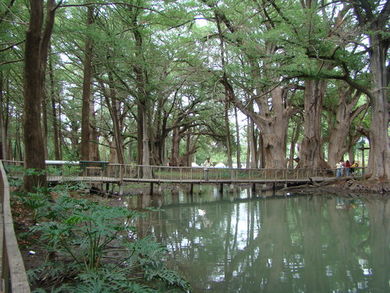 Parque nacional El Sabinal - EcuRed